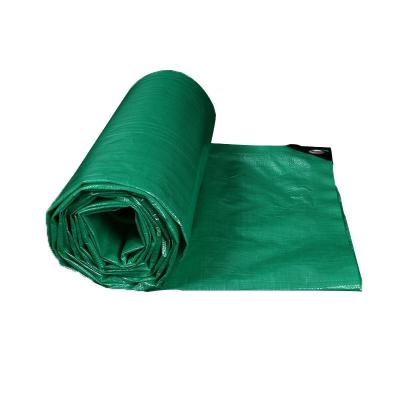 China Professional blue white polyethylene tarpaulin,PE plastic sheet,China poly tarp factory for truck/boat/tent for sale
