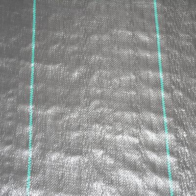 China ground cover PP weed control mat,gardening ground cover weed barrier landscape fabric for sale