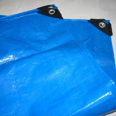 China Poly plastic fabric Chinese supplier waterproof Insulated blue white PE tarpaulin sheet for cargo protection for sale