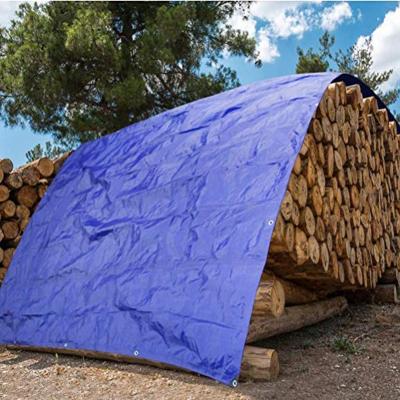China China factory professional supply blue orange PE canvas tarpaulin waterproof tarpaulin covers for cargo protection for sale