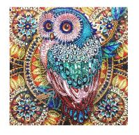 China 12x12inch Owl Diamond Art Painting Kits Rhinestone Crafts Painting Set For Adults for sale