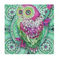 China Bulk Customize Size Crystal Rhinestone Owl Full Drill DIY 5D Diamond Painting Set For Adults Decor for sale