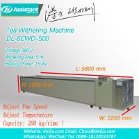 China Tea Leaf Withering Machine DL-6CWD-600 for Black and Green Tea Processing for sale
