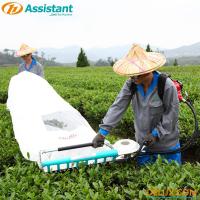 China Portable Custom Hand 24v Brushed Electric Tea Mini Tea Leaf Picking Machine DL-4C-A for sale