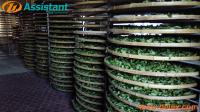 China Stainless Steel or Bamboo Tea Withering Plate Pallet DL-TQJ-20 for 50kg/tine Capacity for sale