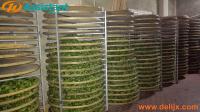 China Stainless Steel or Bamboo Tea Withering Plate Pallet DL-TQJ-20 for 50kg/tine Capacity for sale