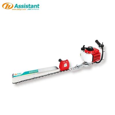 China Lightweight 3CX-750A Handheld Tea Leaf Hedge Trimmer for Tea Plantation Maintenance for sale