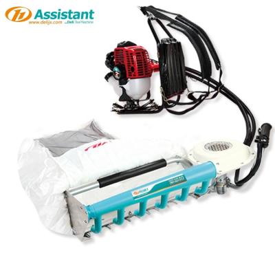 China DL-4C-S39 139F 4 Stroke Power Tea Leaf Harvesting Machine Landscaping Garden Harvester Backpack for sale