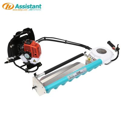 China NATIKA 1E34F Engine Backpack Gasoline Tea Leaf Pruning Mower Harvester Hedgerow Tea Picker for sale