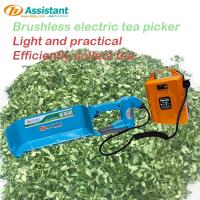 China DL-4CD-35 Battery-Powered Tea Leaf Harvester Electric Motor Drive 30mm Working Width for sale