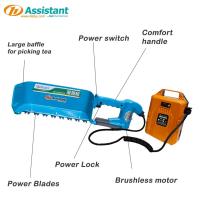 China DL-4CD-35 Battery-Powered Tea Leaf Harvester Electric Motor Drive 30mm Working Width for sale