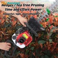 China 3CX-250A Tea Garden Leaf Hedge Trimmer Powered by 1E32FW Engine and 500mm Cutting Width for sale