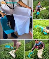 China 0.27-0.54HP Tractor Power DL-4CD-35 Tea Harvester with Mini Hedge Trimmer and Battery for sale