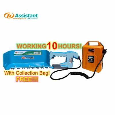 China 10 Hours Battery Engine Tea Leaf Plucking Machine for India Srilanka Tea Plantation for sale
