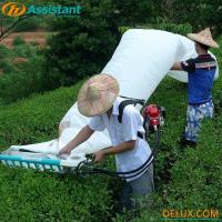China Farms 2 Stroke 25.4CC Ochiai Tea Plucking Harvesting Machine With Mini Hand-held Electric DL-4C-Z for sale