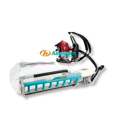 China DL-4C-Z 2 Stroke Gasoline Engine Assam Large Leaf Tea Plucker for One Man Tea Picking for sale