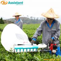 China DL-4C-T50A5 HUASHENG 1E34F 2 Stroke Engine 500mm Mini Tea Picker for Tea Leaf Picking for sale