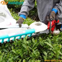 China DL-4C-T50A5 HUASHENG 1E34F 2 Stroke Engine 500mm Mini Tea Picker for Tea Leaf Picking for sale