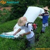 China DL-4C-S39 Ochiai Type Tea Leaf Harvester Powered by HUASHENG 139F 4 Stroke Gasoline Engine for sale