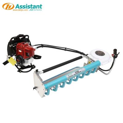 China DL-4C-H3 35CC Mini Tea Plucking Machine Harvester for Tea Leaf Harvesting Efficiency for sale