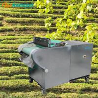 China Tea Vegetable Sectioning Machine DL-6GCQ-30-2 for Multifunctional Potato Shredder 220V for sale
