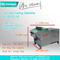 China 220V/50Hz Voltage Fresh Green Tea Leaf Cutting Machine DL-6GCQ-50 with 250 kg/h Efficiency for sale