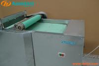 China 220V/50Hz Voltage Fresh Green Tea Leaf Cutting Machine DL-6GCQ-50 with 250 kg/h Efficiency for sale