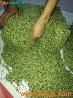 China DL-6CCXJ-6080 Granular Granulated Tea Molding Machine for Tieguanyin Oolong Tea Processing for sale