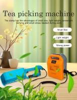 China 300 mm Working Width Dl-4Cd-35 Semi-auto Battery Tea Plucking Machine for Tea Picking for sale