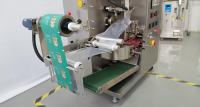 China 1750*740*1950 accuracy Sri Lanka Loose Leaf Bag DL-LSDP-XBW Tea Custom Packaging Machine for sale