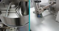 China 1750*740*1950 accuracy Sri Lanka Loose Leaf Bag DL-LSDP-XBW Tea Custom Packaging Machine for sale