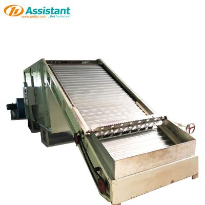 China High Capacity 610 kg/h Wet Tea Drying Chain Plate Dryer for Firewood and Coal Heating for sale