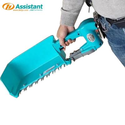 China Lightweight 1.6kg DL-4CD-35 Tea Harvester for Plucking Tea Leaves in 300mm Width for sale