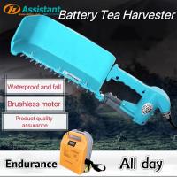 China DL-4CD-35 300mm Mini Tea Leaves Brushless Motor Battery Tea Harvester Cutting Machine for sale