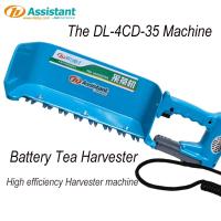 China DL-4CD-35 300mm Mini Tea Leaves Brushless Motor Battery Tea Harvester Cutting Machine for sale