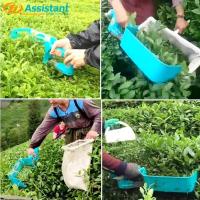 China DL-4CD-35 300mm Mini Tea Leaves Brushless Motor Battery Tea Harvester Cutting Machine for sale