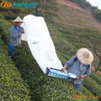 China DL-4C-T Tea Harvesting Machine The Best Choice for Tea Production and Harvesting for sale