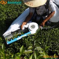 China DL-4C-T Tea Harvesting Machine The Best Choice for Tea Production and Harvesting for sale