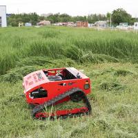 China RC Remote Control Small Riding Lawn Mower Gasoline  Small Lawn Mower for sale