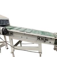 China Inclined Bucket Elevator Conveyor Stainless Steel Bucket Conveyor System for sale