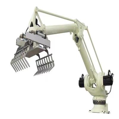 China Vouble Station's Simple Type Robotic Palletizer Collaborative Robots for sale
