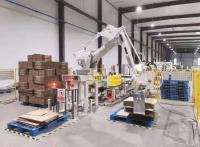 China Vouble Station's Simple Type Robotic Palletizer Collaborative Robots for sale
