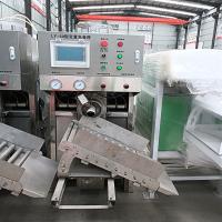 China 50 kg Cement Polyester Putty Dry Mortar Pneumatic Valve Port Bag Powder Filling Machine Fully Automatic Valve Filling Machine With Sealing for sale