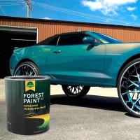 China Auto Acrylic Enamel Refinishing Paint Wash Resistant for sale