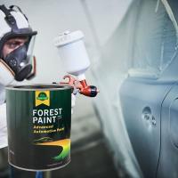 China 40-60um Acrylic Enamel Auto Paint High Gloss Car Paint Professional Product for sale