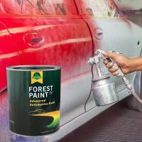 China Customized Acrylic Enamel Auto Paint From Forest Paint Manufacture Directly Supply for sale