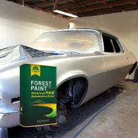 China 1L/Tin Bluish Silver Car Paint for sale