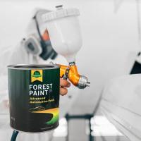 China High Hardness 1k Acrylic Car Refinish Coatings Automotive Refinish Paint for sale