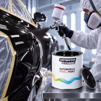 China Waterproof Pearlescent Black Acrylic Car Paint Liquid Coating Customized for sale