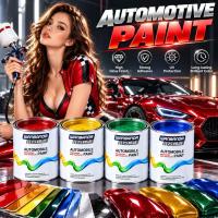 China High-gloss 2K automotive paint scratch repair and vehicle restoration. for sale
